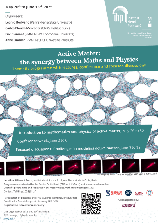 PC2-2025 Active matter: the synergy between maths and physics ...